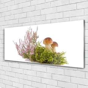 akrylový obraz Houby Rostlina Příroda 125x50 cm