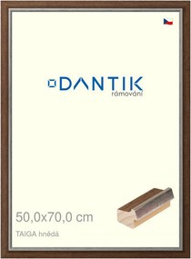 DANTIK rámeček 50x70 | TAIGA hnědá (Plexi Čiré)