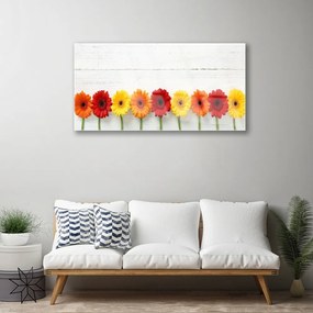 Plexisklo-obraz Květiny Rostlina Příroda 100x50 cm