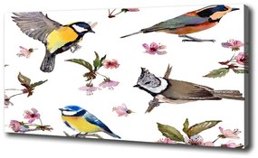 Wallmuralia Foto obraz na plátně Ptáci květiny viště 100x50