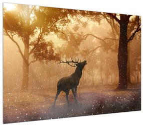 Obraz jelena v říji (100x70 cm)