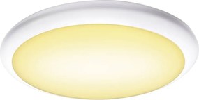 LA 1005090 RUBA 42 CW venkovní LED nástěnné a stropní přisazené svítidlo bílé CCT switch 3000/4000 K - BIG WHITE (SLV)