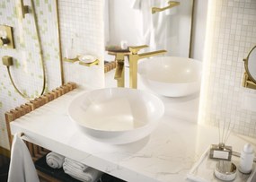 Hansgrohe AddStoris, jednoduchý háček, leštěný vzhled zlata, HAN-41742990
