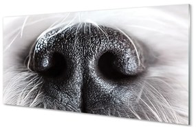 akrylový obraz psí čumák 120x60 cm