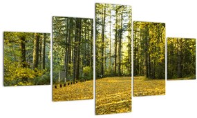 Obraz - les na podzim (125x70 cm)