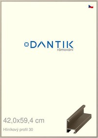 DANTIK rámeček 42x59,4 | ALU profil 6030 champagne (Plexi Čiré)
