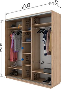 Skříň s posuvnými dveřmi 2000x2200x600 2LTD 1 Zrcadlo Industrial, profil stříbrný
