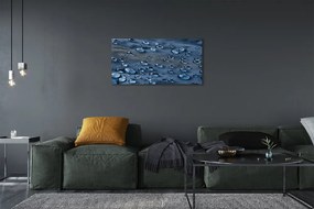 Obrazy na plátně Vodní kapky makro 100x50 cm