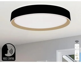LED Stmívatelné stropní svítidlo s hlasovým ovládáním OPAL LED/48W/230V + DO
