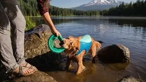 Ruffwear Hydro Plane Aurora Teal M / Hračka pro psy