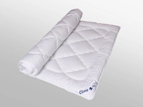 2G Přikrývka Clivie celoroční 220x135(1100g)