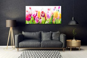 akrylový obraz Tulipány Květiny 120x60 cm