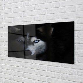 akrylový obraz wolf Eyes 140x70 cm