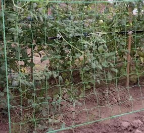 Gardlov Podpůrná síť na pěstování rostlin 2x10m - zelená