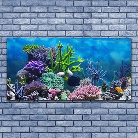Plexisklo-obraz Akvárium Rybičky Pod Vodou 120x60 cm