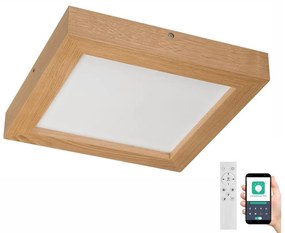 Brilagi Brilagi-LED Stmívatelné svítidlo WOODY FRAME LED/24W/230V dub 30x30 cm IP44 + DO BG0859