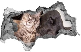 Wallmuralia Díra 3D foto tapeta nálepka Pes s kočkou 95x73 cm