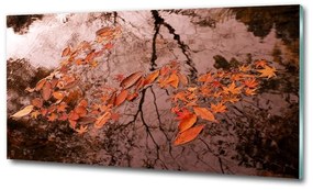 Wallmuralia Moderní skleněný obraz z fotografie Listí na vodě 100x50