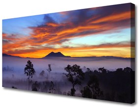 Obraz na plátně Stromy Mlha Krajina 120x60 cm