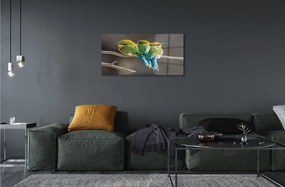 Obraz na skle Ptáci na větvi 120x60 cm