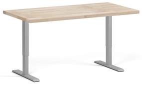 Výškově nastavitelný pracovní stůl do dílny, 2 motory, 1500 x 800 x 760-1230 mm, šedá podnož