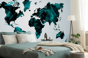 Samolepící tapeta mapa světa ve vektorové grafice - 150x100 cm