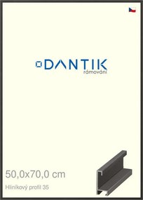 DANTIK rámeček 50x70 | ALU profil 6035 Dýha černá (Plexi Čiré)