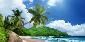 Obraz nádherná pláž na ostrově Seychely - 120x60 cm