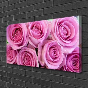 Obraz na plátně Růže Květiny Rostlina 120x60 cm