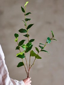 Umělý eukalyptus (výška 110 cm) Eucalyptus – Bloomingville