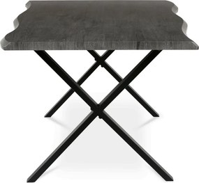 Jídelní stůl HT-F4321 GREY, mdf, šedý dub (210 x 100) cm Šedá