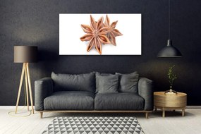 Plexisklo-obraz Anýz Hvězda Příprava 120x60 cm