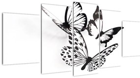 Obraz motýlů