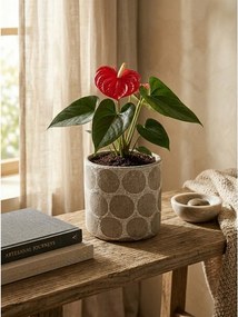 Ručně vyrobený obal na květináč z terakoty ø 12 cm Felan – Bloomingville