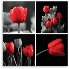 Obraz na plátně, Sada červených tulipánů - 60x60 cm