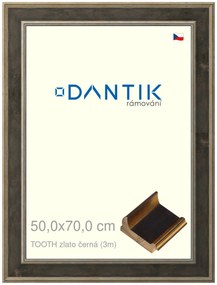 DANTIK rámeček 50x70 | TOOTH zlato černá (Plexi Čiré)