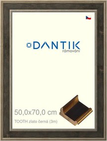 DANTIK rámeček 50x70 | TOOTH zlato černá (Plexi Čiré)