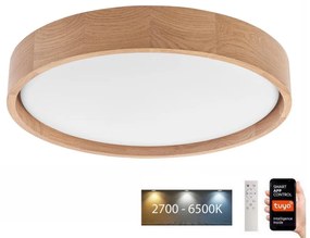 Brilagi - LED Stropní svítidlo MANAROLA SMART LED/24W/230V + DO Tuya