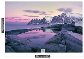 Fototapeta Zimní fjord 104x70