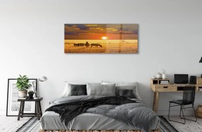 akrylový obraz Zebra západ mraky 120x60 cm