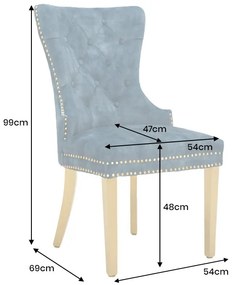 Designová židle Queen Lví hlava petrolejový samet