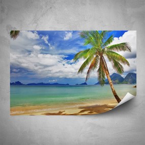 Plakát - Palma na pláži (60x40 cm) - PopyDesign