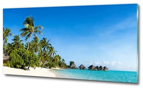 Wallmuralia Fotoobraz na skle Pláž na Karibských ostrovech 100x50
