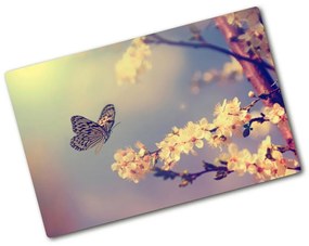 Wallmuralia Deska na krájení skleněná Květ višně a motýl 80x52 cm
