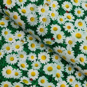 PVC ubrus Kopretiny na zeleném PV-161 - metráž š. 140 cm