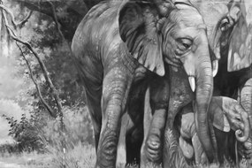 Obraz sloní rodinka v černobílém provedení - 60x40 cm