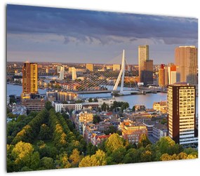 Skleněný obraz - Panorama Rotterdamu, Nizozemsko (70x50 cm)