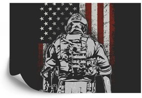 Fototapeta Americký Voják Hladký vinyl 416x290