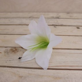 Květ lilie krémová, 12 ks
