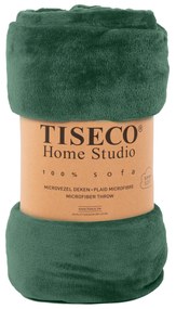 TISECO Pléd COSY mikroplyš 150 x 200 cm tmavě zelený